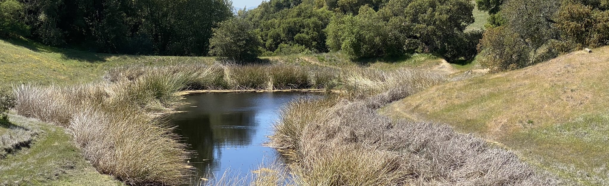 Redfern Pond from Hunting Hollow Trail: 65 Reviews, Map - California ...