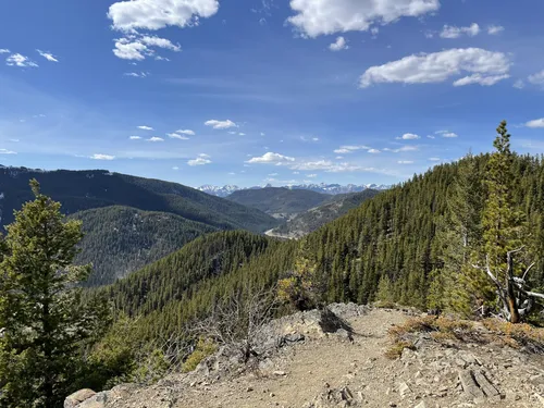 10 Best Hikes and Trails in Sibbald Lake Provincial Recreation Area ...