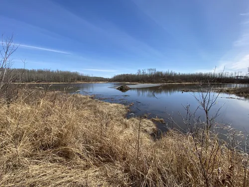 10 Best Cross Country Skiing Trails in Cooking Lake/Blackfoot ...