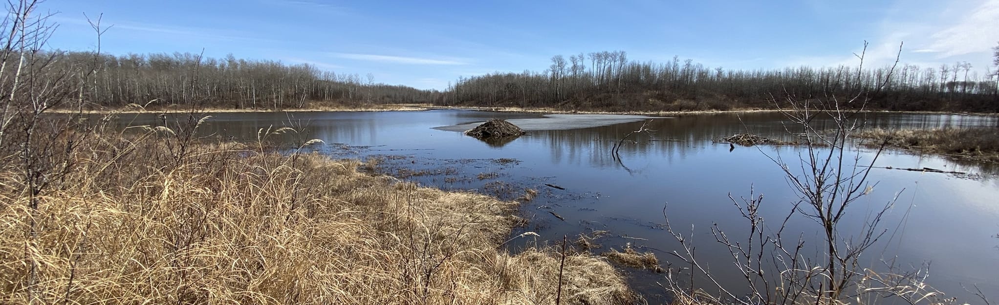 Siksika and Lost Lake Loop, Alberta, Canada - 30 Reviews, Map | AllTrails