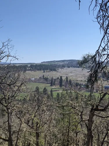 Best Hikes and Trails in Goldendale | AllTrails