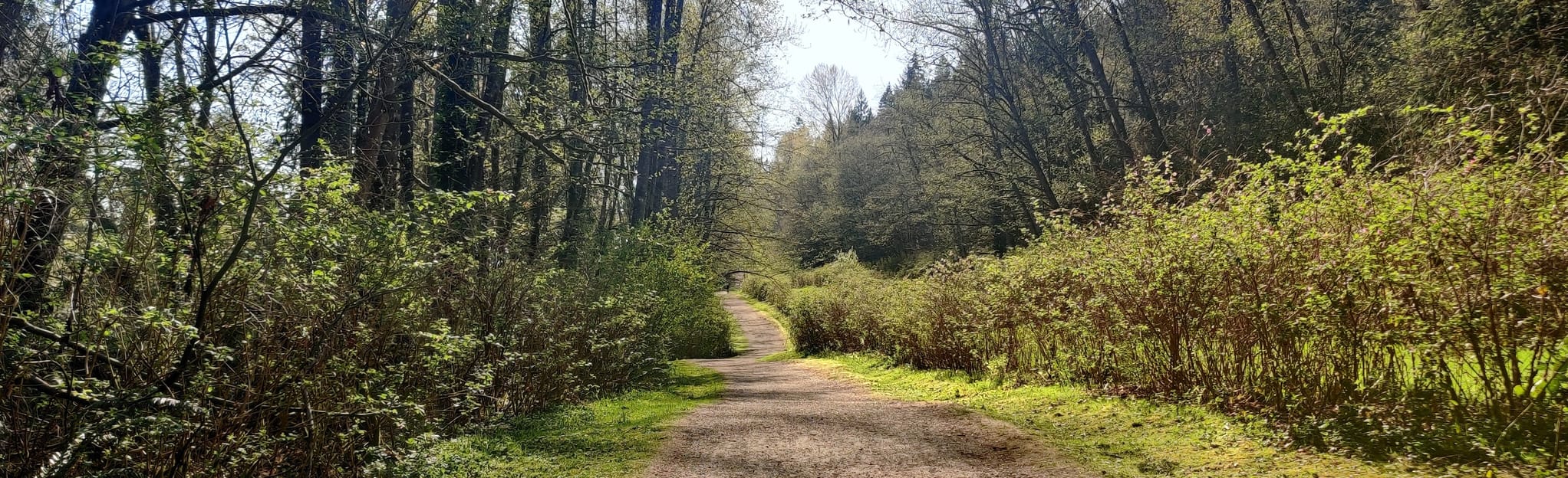 Simon Fraser University Loop Trail MTB, British Columbia, Canada - 249 ...