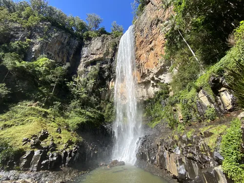 10 Best Hikes and Trails in Springbrook National Park | AllTrails