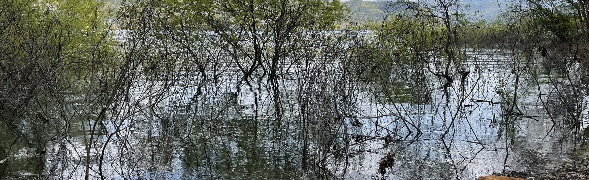 Geumgwang Lake - Park Doojin Literary Trail: 3 foto's - Gyeonggi-do ...