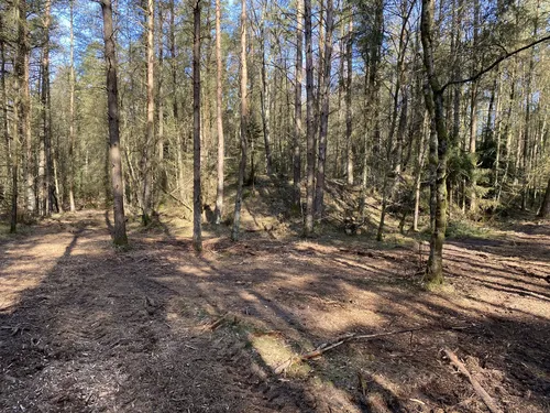 10 Best Trails and Hikes in Brande | AllTrails