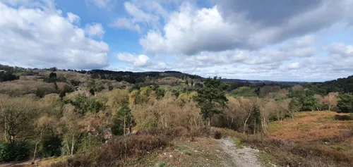 Best Hikes and Trails in Lickey Hills Country Park | AllTrails