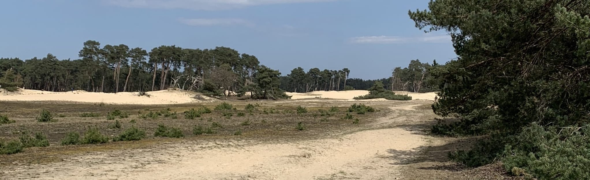 Wekeromse Zand Short Loop, Gelderland, Netherlands - Map, Guide | AllTrails