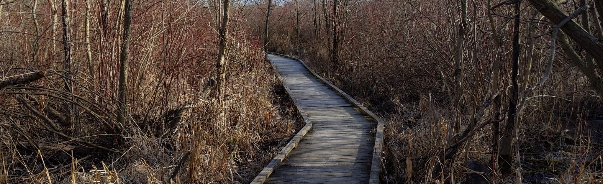 Dallas Lake Park - Indiana | AllTrails