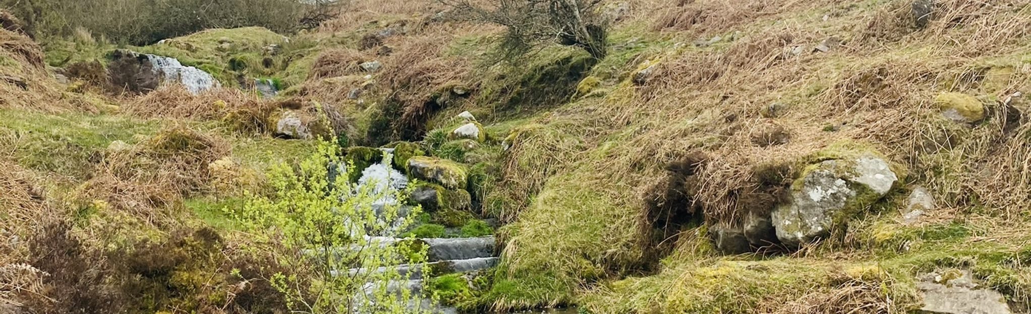 Shanbally and Slievenamon Circular, County Tipperary, Ireland - 26 ...