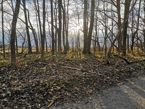 Best Hikes and Trails in Simcoe County Forests | AllTrails