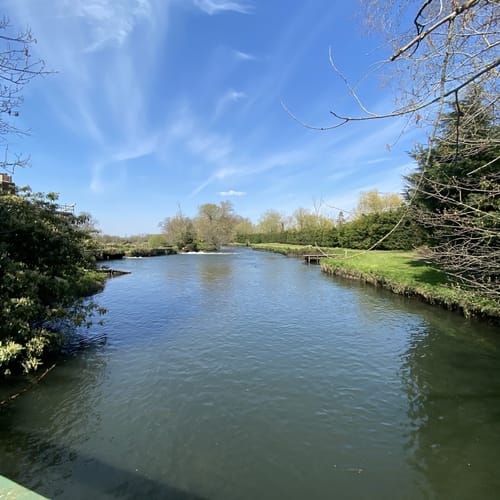 Best Hikes and Trails in Lower Test Nature Reserve | AllTrails
