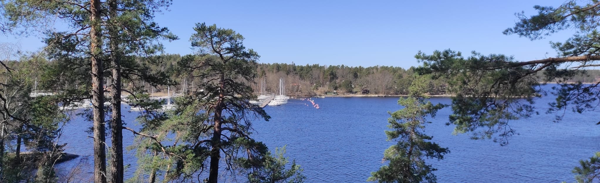 Elfvik – Södergarn – Bosön Loop: 30 Reviews, Map - Stockholm, Sweden ...