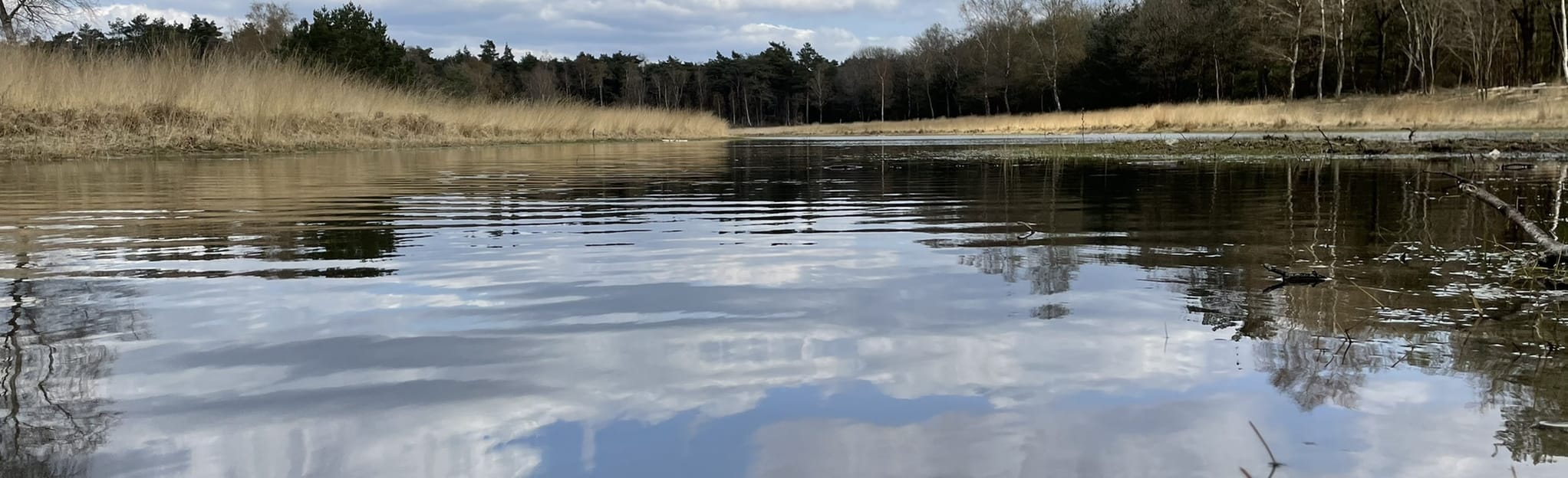 Loofles - Kootwijkerzand - Stroese Heide: 45 foto's - Gelderland ...