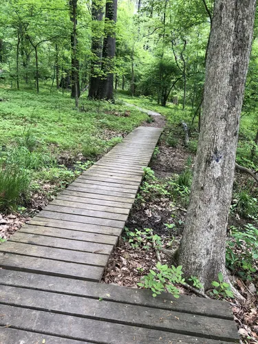 Best Hikes and Trails in Beaver Marsh Nature Preserve | AllTrails