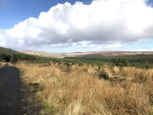 2023 Best 10 Long Trails in Sperrins Area of Outstanding Natural Beauty ...