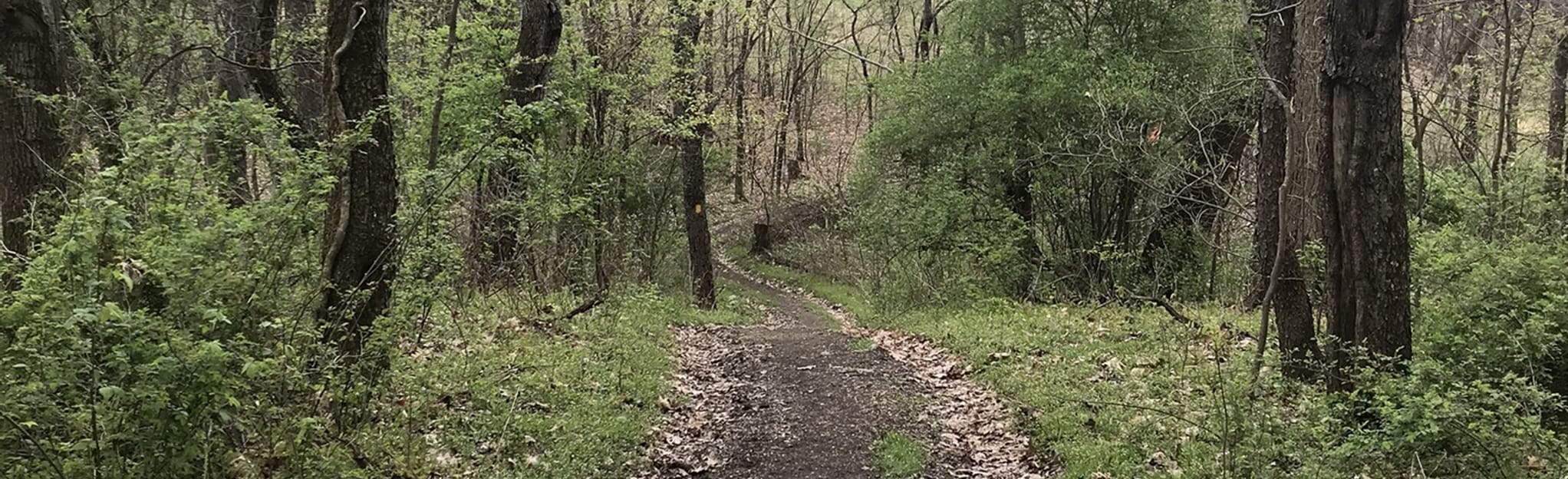 Rachel Carson Trail: Springdale to Bull Creek: 189 Reviews, Map ...