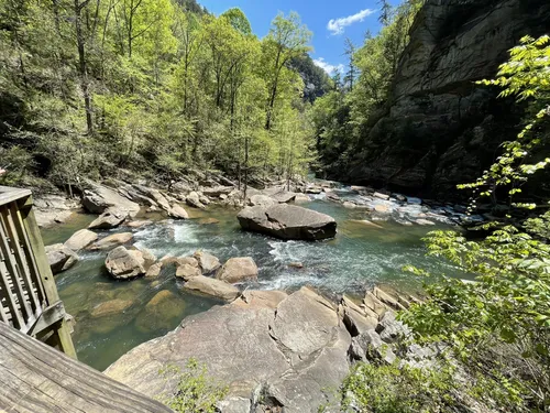 Best Hikes and Trails in Tallulah Gorge State Park | AllTrails
