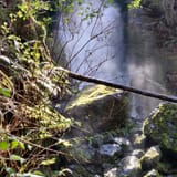 Merriman Falls, Washington - 114 Reviews, Map | AllTrails