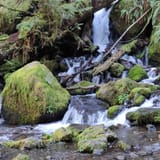 Merriman Falls, Washington - 114 Reviews, Map | AllTrails