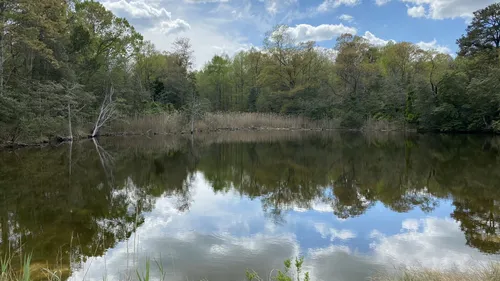 Best Hikes and Trails in Myrtle Point Park | AllTrails