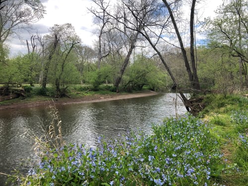 Best Hikes and Trails in Bull Run Regional Park | AllTrails