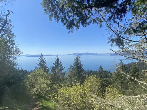 10 Best Trails and Hikes in Bellingham | AllTrails