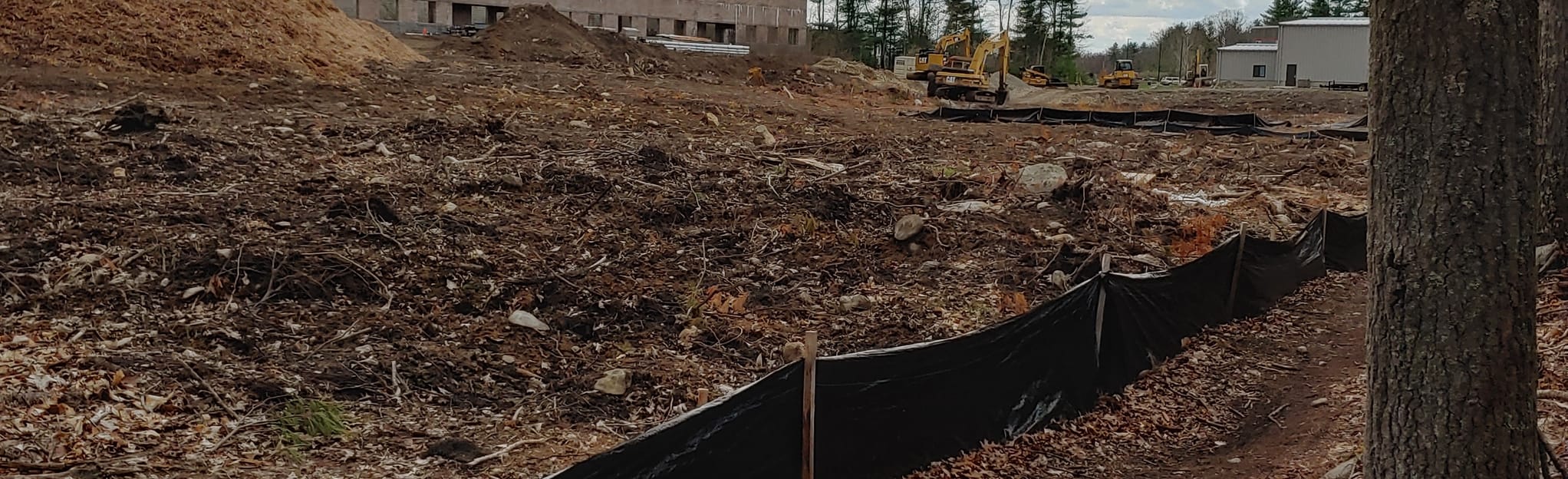 Lind Farm Loop, Massachusetts - 117 Reviews, Map | AllTrails