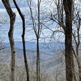 Blue Bend Loop Trail, West Virginia - 122 Reviews, Map | AllTrails