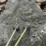 Blue Bend Loop Trail, West Virginia - 122 Reviews, Map | AllTrails