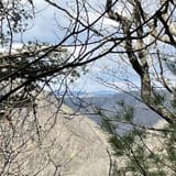 Blue Bend Loop Trail, West Virginia - 122 Reviews, Map | AllTrails