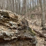 Blue Bend Loop Trail, West Virginia - 122 Reviews, Map | AllTrails