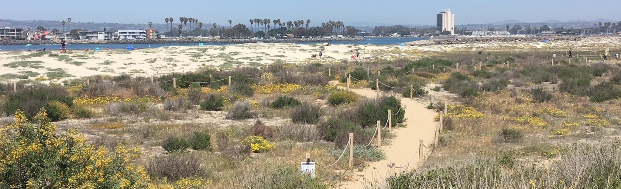 Ocean Beach Park Trail, California - 180 Reviews, Map | AllTrails
