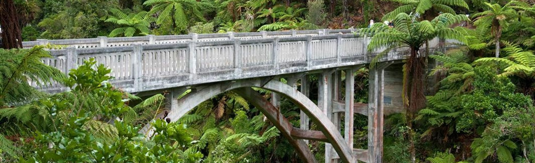 Mangapurua Landing to the Bridge to Nowhere via Whanganui River ...