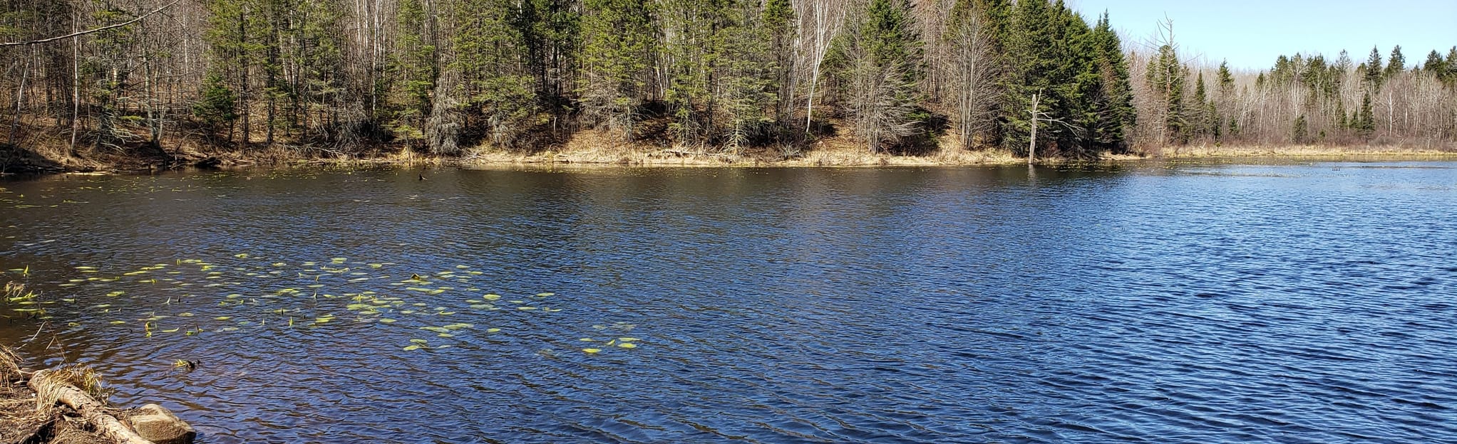 Blue Hills Trail West Side Loop | Map, Guide - Wisconsin | AllTrails
