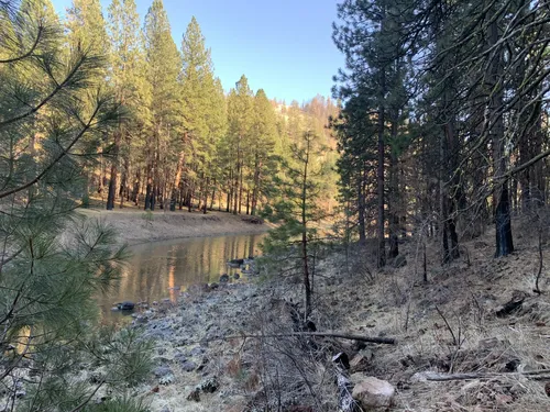 Best Forest Trails in Modoc National Forest | AllTrails