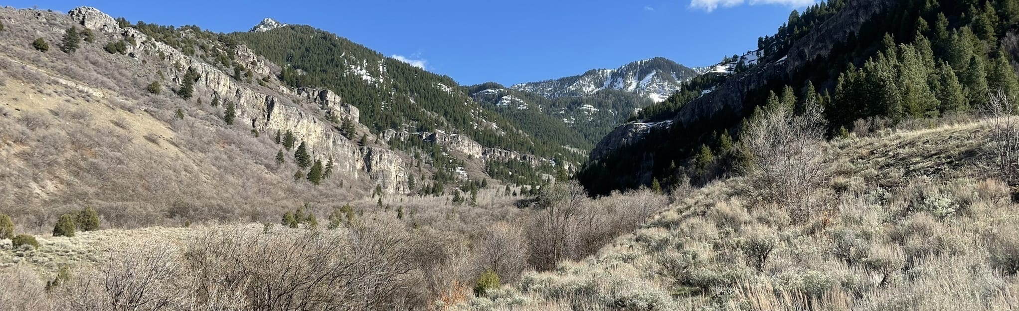 Bridger Lookoff and Mill Hollow Trail Loop - Utah | AllTrails