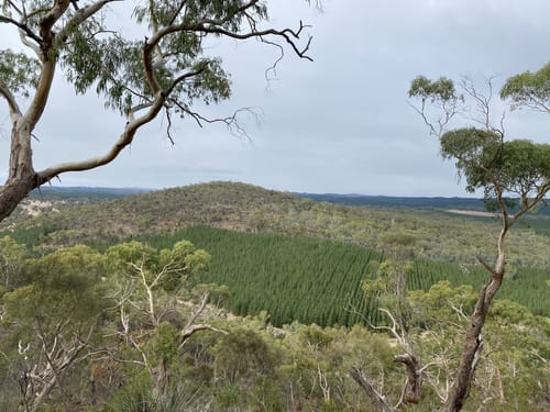 2023 Best 10 Long Trails in Mount Crawford | AllTrails