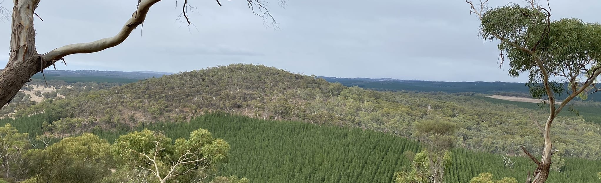 Warren Reservoir to Mount Crawford via South Para River, South ...