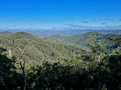 10 Best Trails and Hikes in Mount Nebo | AllTrails