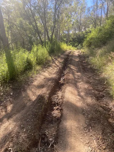 Best Hikes and Trails in Lockyer National Park | AllTrails