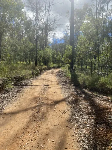 Best Hikes and Trails in Lockyer National Park | AllTrails