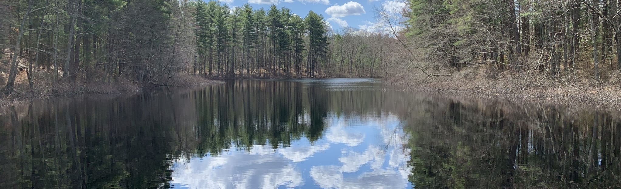 Holt Pond Big Loop: 93 Reviews, Map - Massachusetts | AllTrails