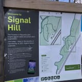 Signal Hill Loop, Massachusetts - 137 Reviews, Map | AllTrails