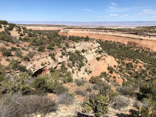 10 Best Hikes and Trails in Black Ridge Canyons Wilderness | AllTrails