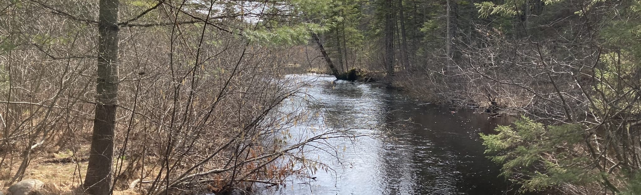 Hays Brook and Sheep Meadow Trail, New York - 15 Reviews, Map | AllTrails