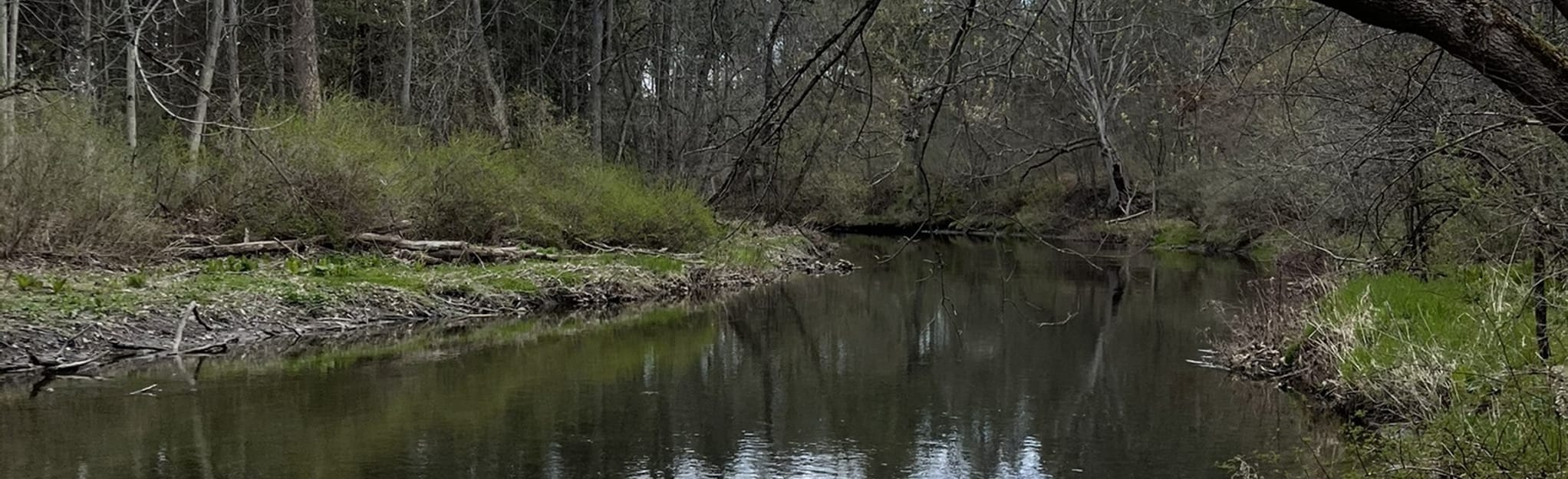 AllTrails | Genung Nature Preserve Trail: 23 Reviews, Map - New York