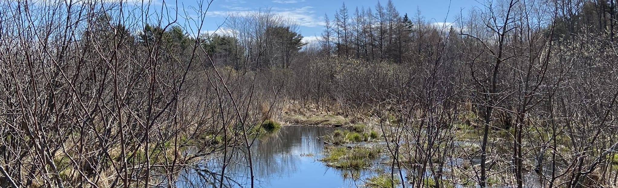 Cornwalls River Trail Loop, Nova Scotia, Canada - 58 Reviews, Map ...