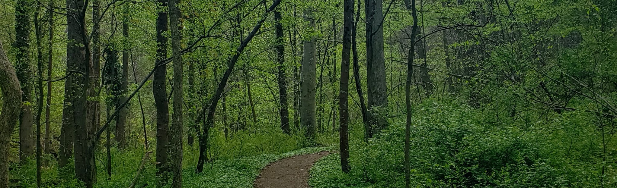 Bull Run Loop, Maryland - 36 Reviews, Map | AllTrails