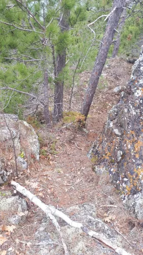 Best Hikes and Trails in Centennial Lake Provincial Nature Reserve ...