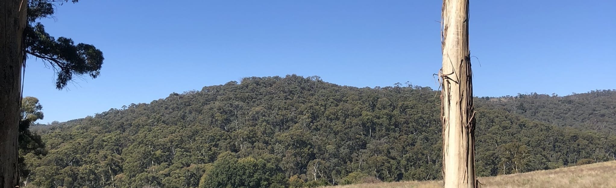 Mount Canobolas via Orange View Lookout: 31 Fotos - New South Wales ...